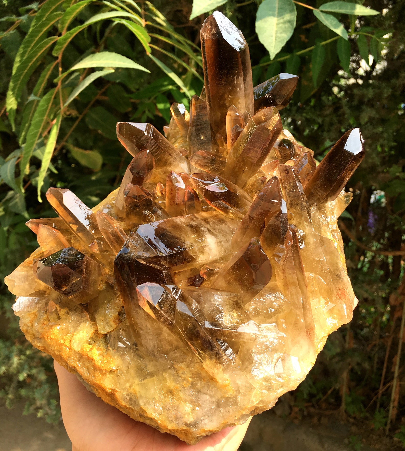 Top Large Raw Yellow Crystal Cluster/yellow Quartz - Etsy