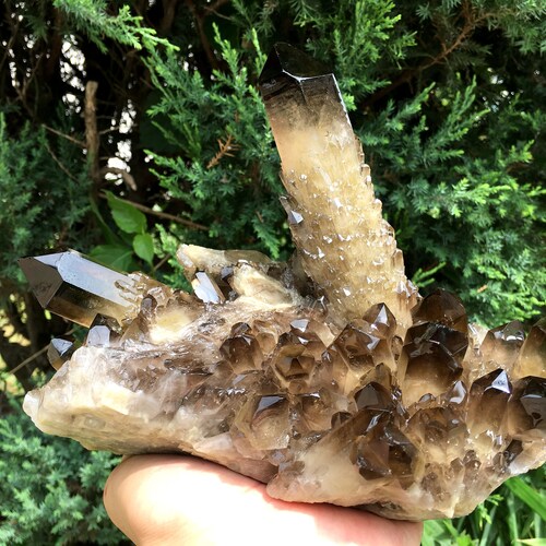 Large Raw Smoke Crystal Yellow Crystal Cluster/black Quartz - Etsy