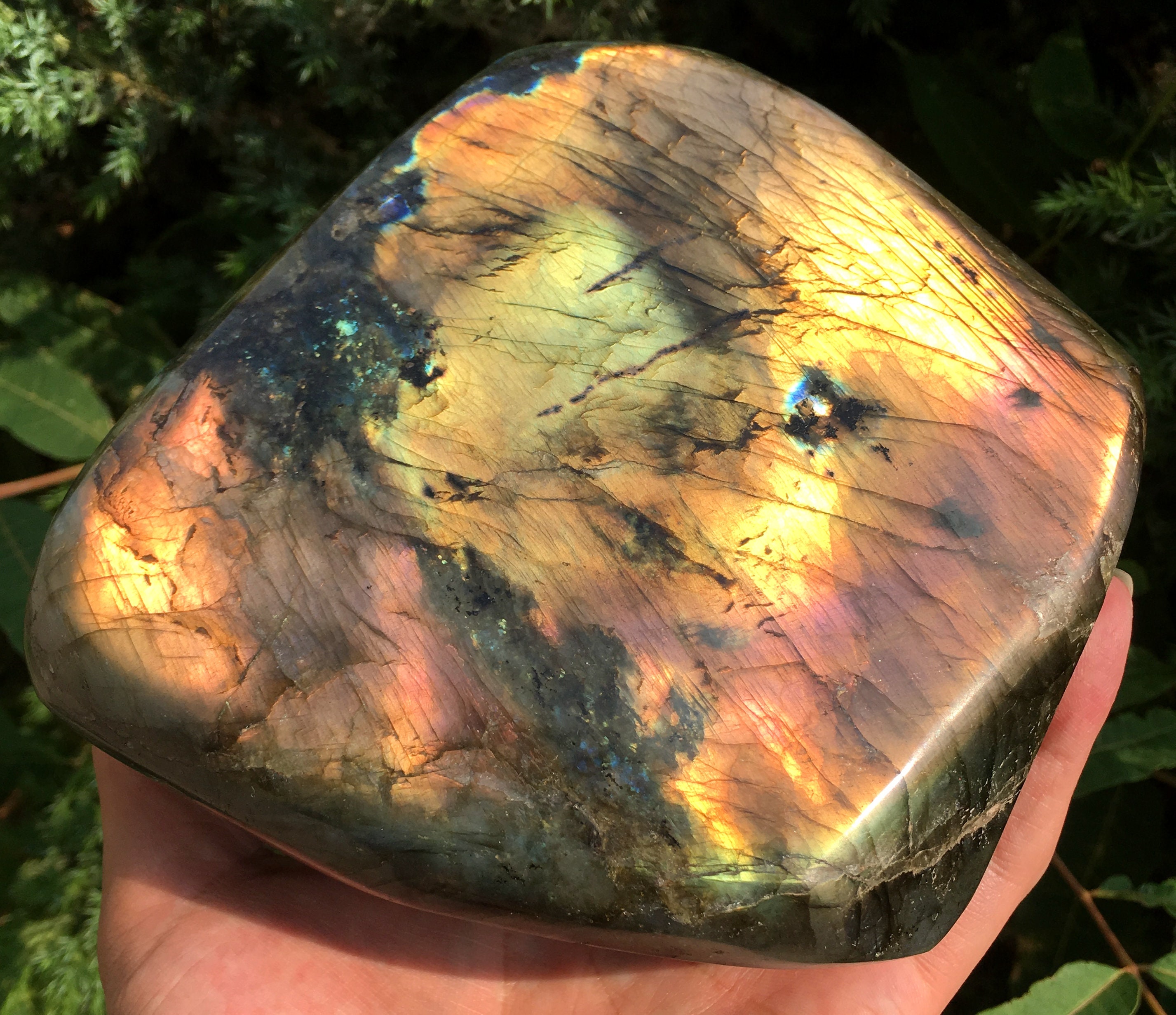 Rare Purple Yellow Sheen Labradorite Crystal Stone/shiny Polished ...