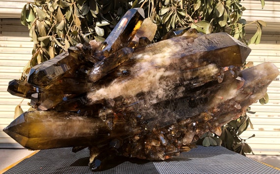 Large Raw Smoke Crystal Yellow Crystal Cluster/black Quartz | Etsy