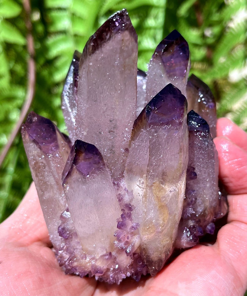 Purple Cactus Quartz Cluster/stunning Clear Points With - Etsy