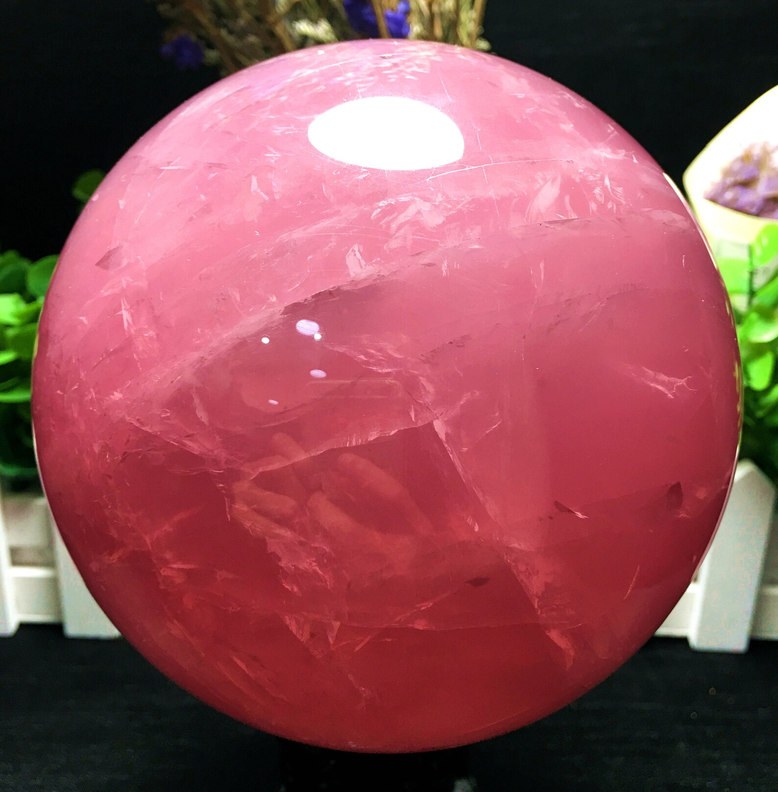 High quality Star Rose Quartz Polished Sphere/Rose Crystal | Etsy