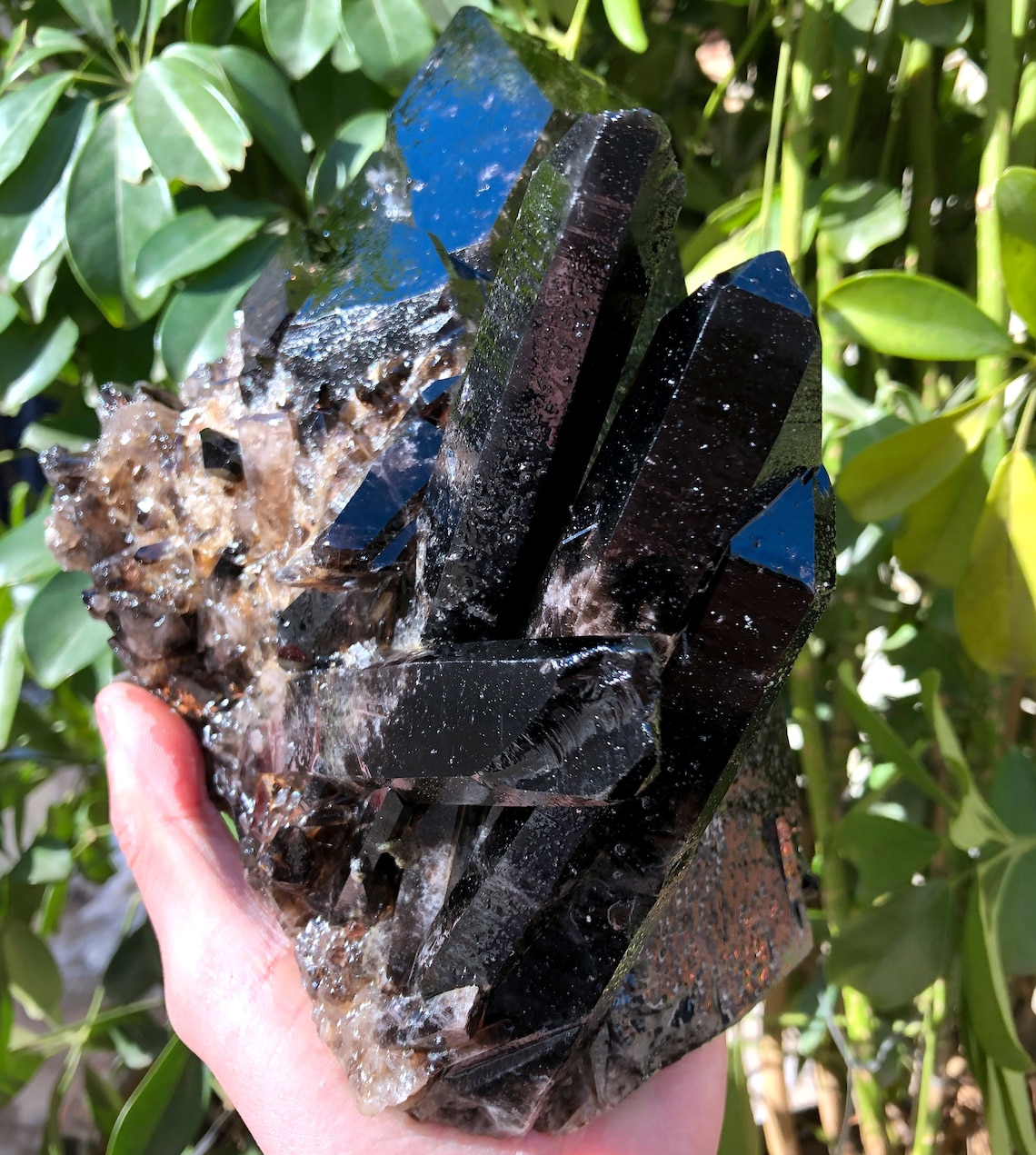 Top große roh schwarz Kristall Cluster/schwarz Quarz Cluster/Quarz ...