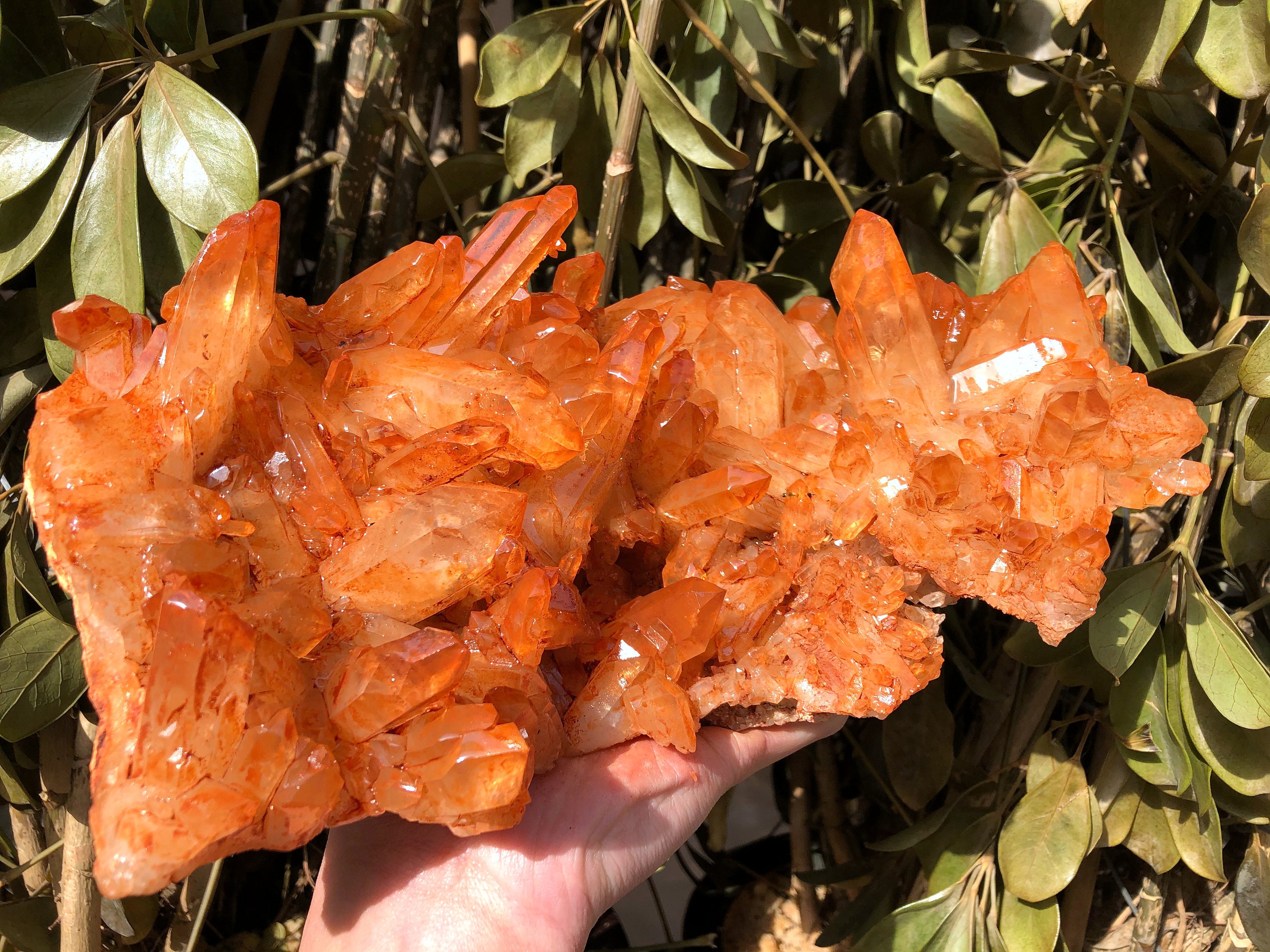 Natural Raw Red Crystal Cluster/red Abundance Quartz | Etsy