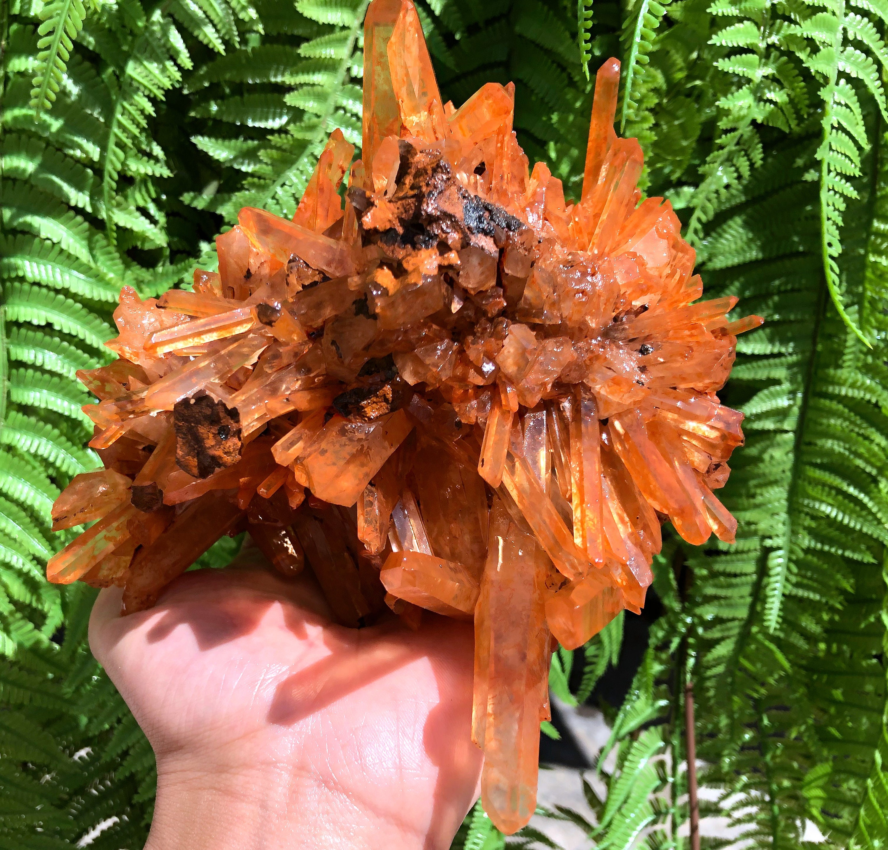 LARGE Raw Himalaya Clear Abundance Quartz Cluster/red | Etsy