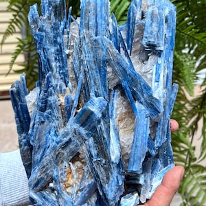 Natural Large Rare Kyanite/blue Kyanite/feng Shui/meditation/special ...