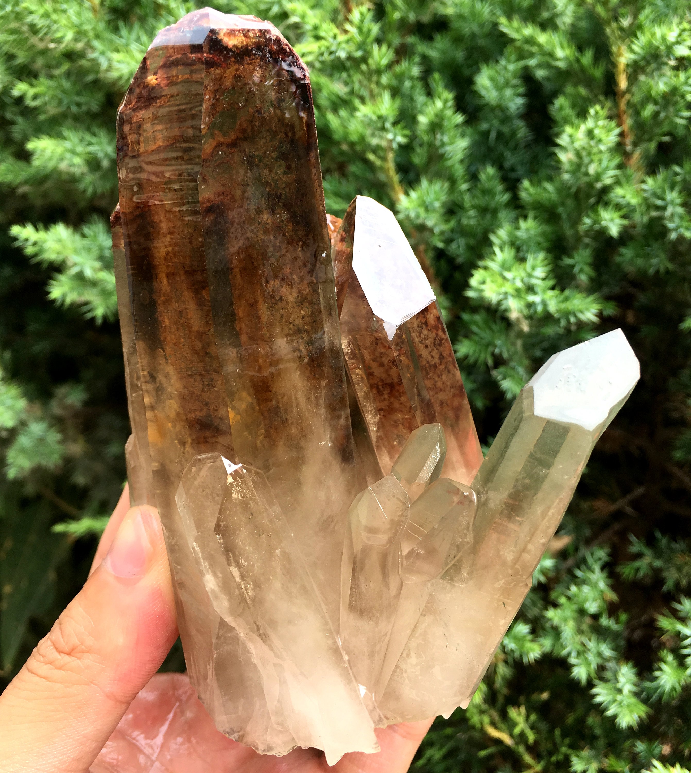 Top Raw black Crystal brown Phantom Quartz Cluster/Black | Etsy