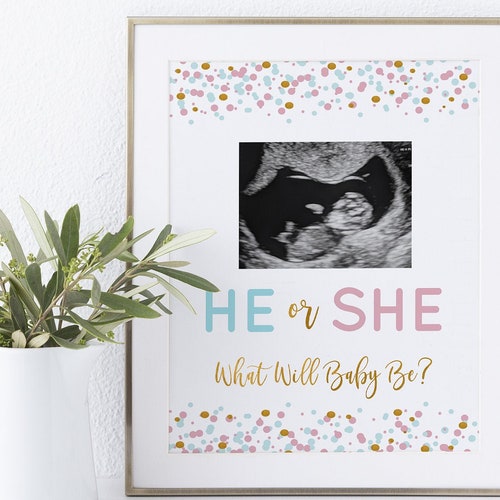 He or She Gender Reveal Sign He or She Ultrasound Sign - Etsy