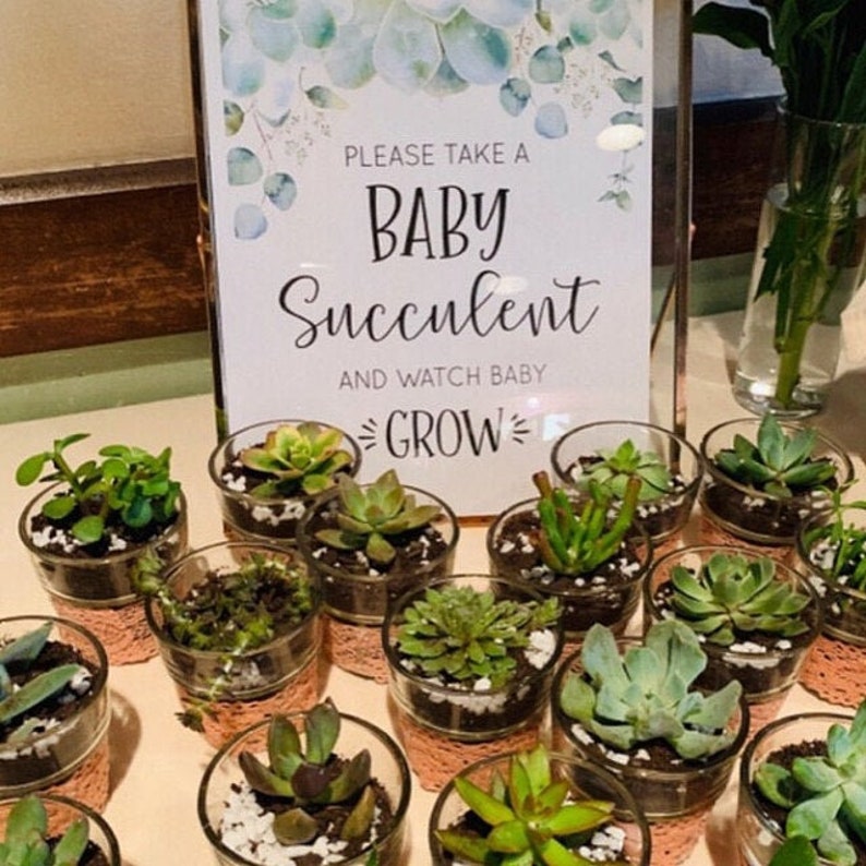 Baby Shower Succulent Favor Sign Succulent Baby Shower Sign - Etsy