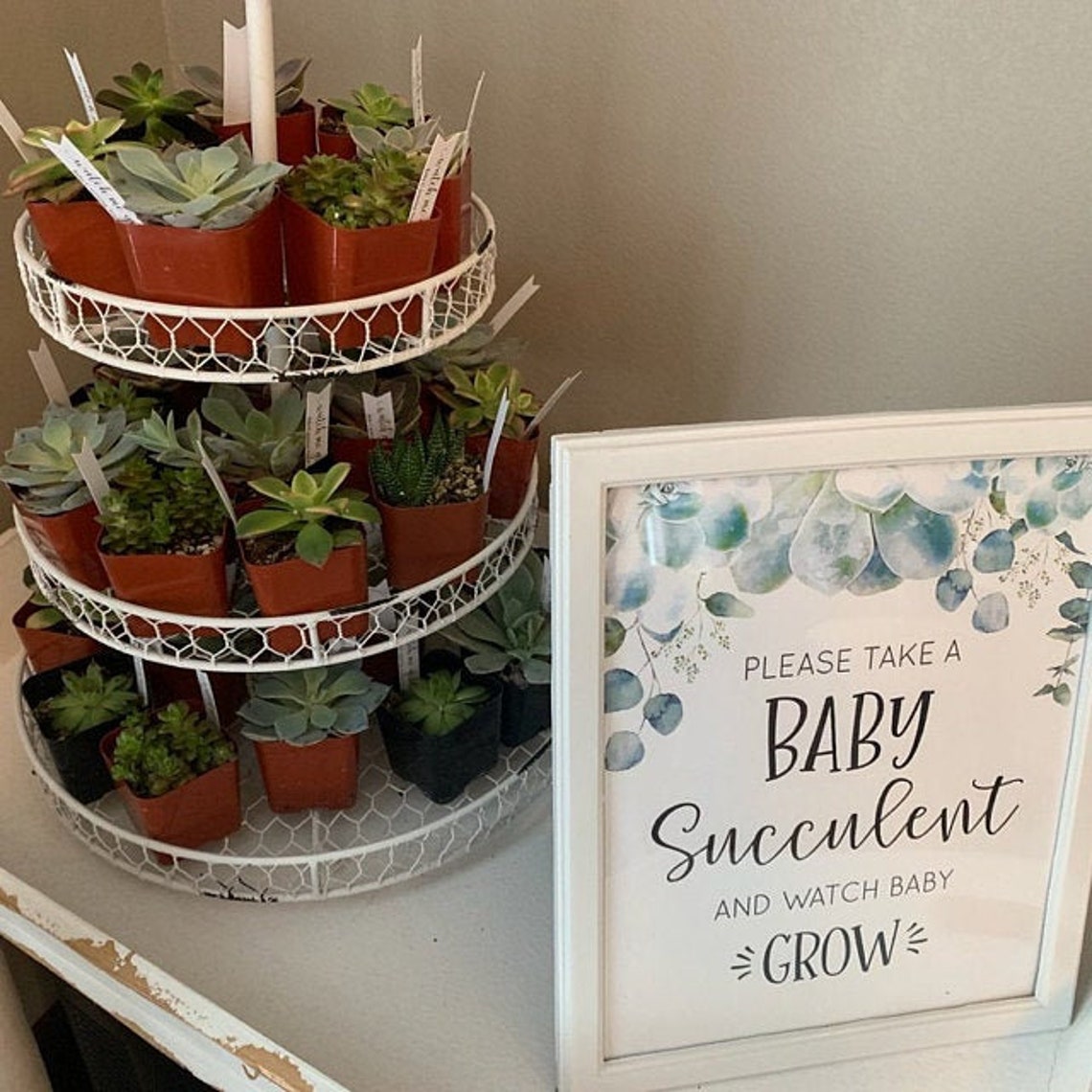 Baby Shower Succulent Favor Sign Succulent Baby Shower Sign | Etsy