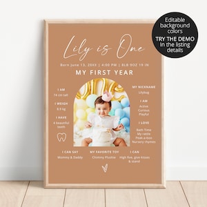 Printable Baby's First Year Poster Template, Modern 1st Birthday Photo ...