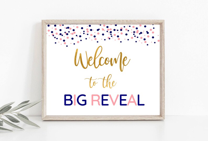 Welcome to the Big Reveal Sign, Gender Reveal Party Sign - Gender ...