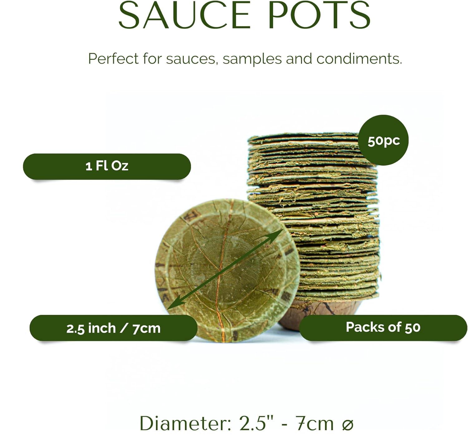 Eco-friendly Sal Leaf Plates and Bowls, Handcrafted Using Only Leaf and ...