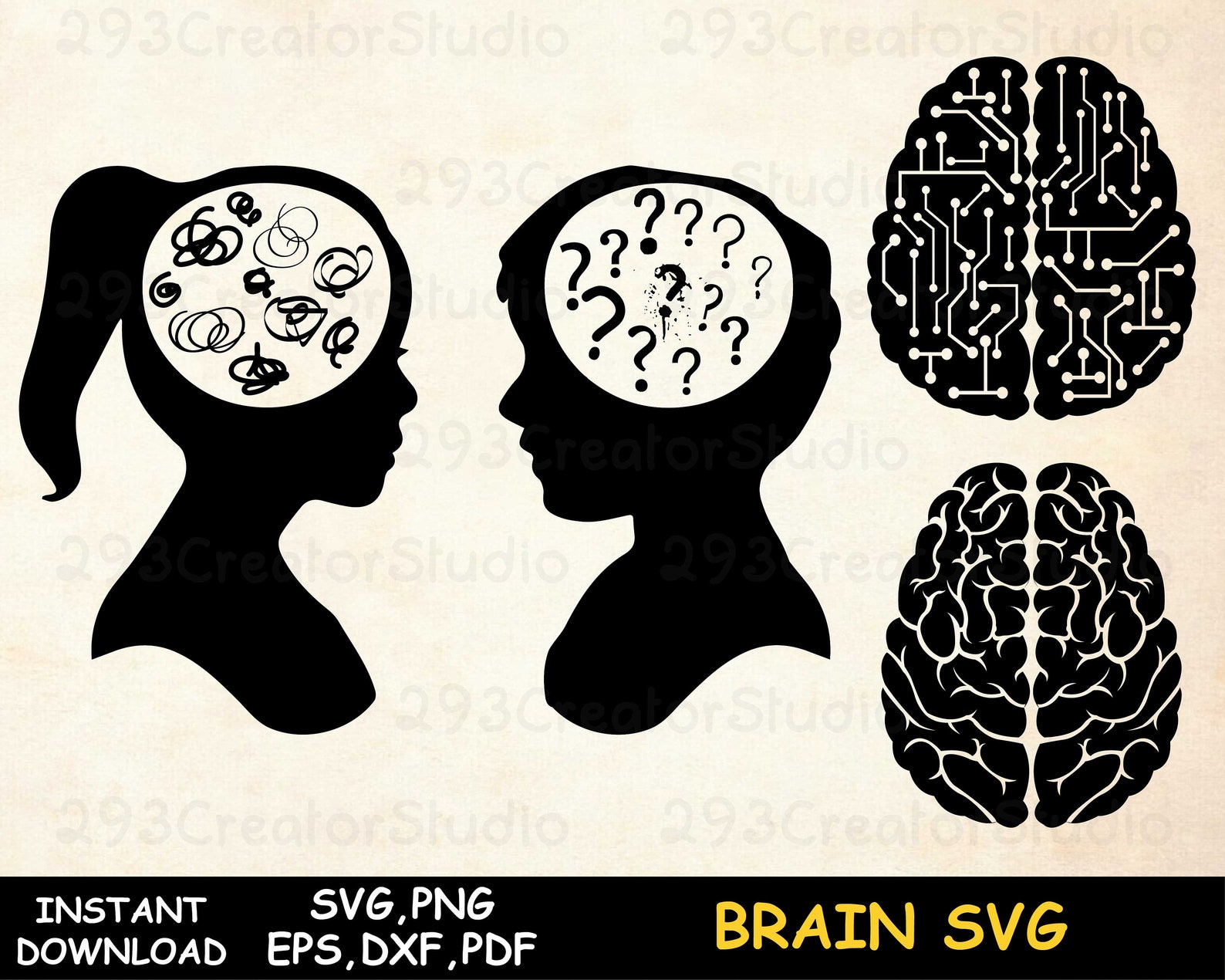 Brain Svg Bundle, Science Svg, School Png Element, Studies Anatomy for ...