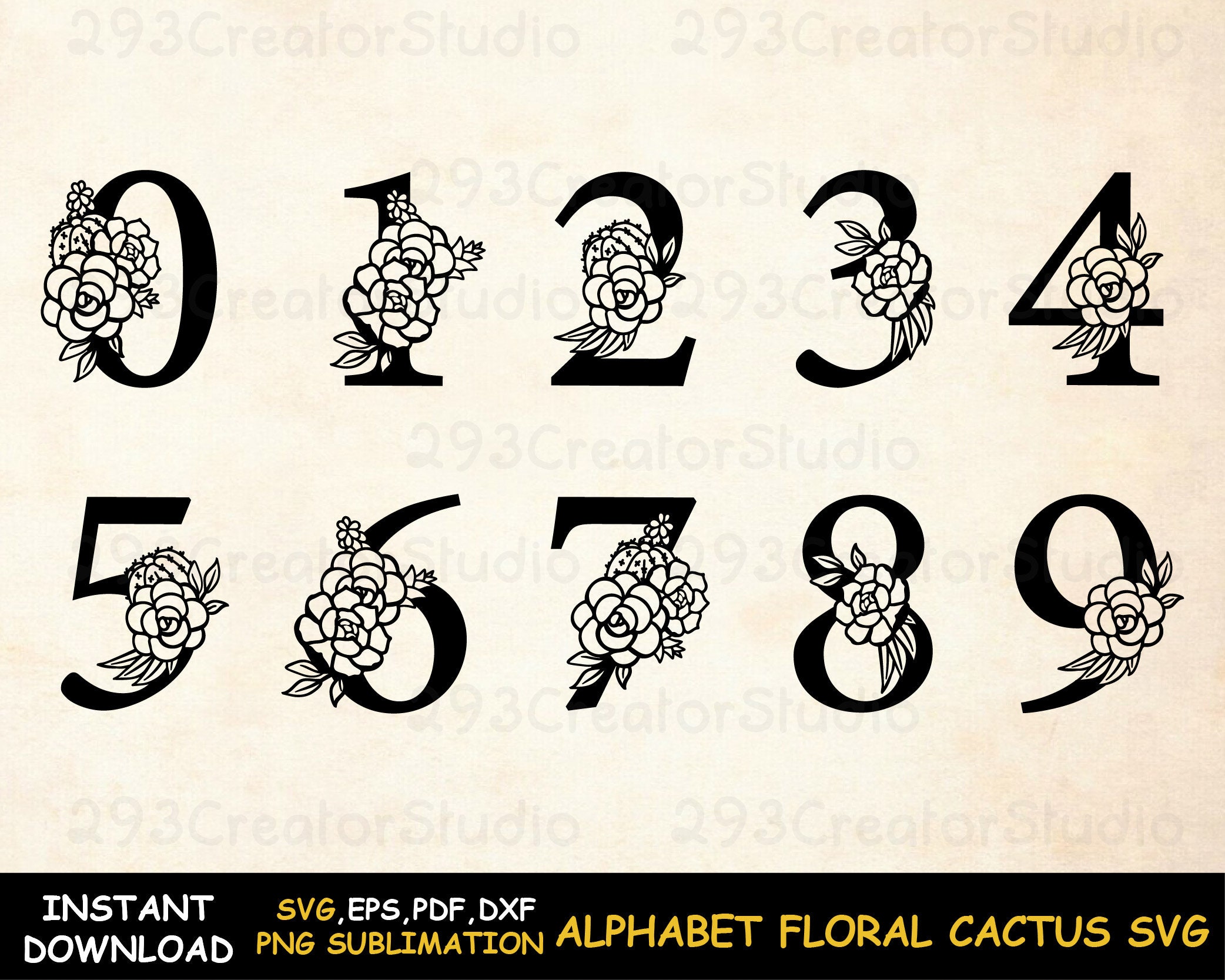 Alphabet Cactus Svg Floral Cactus Svg Desert Cactus Png - Etsy