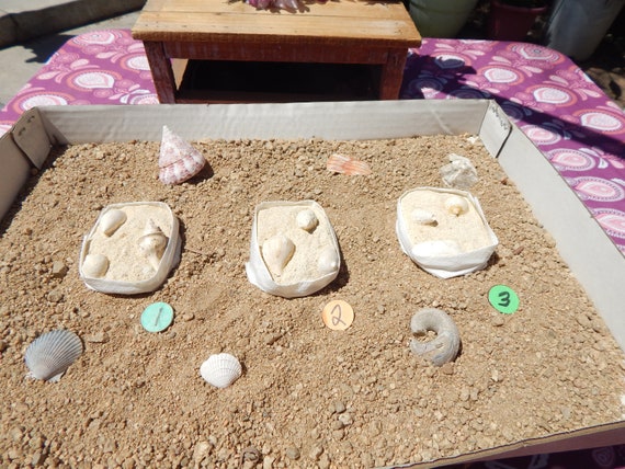 Fossil Matrix Clustercenozoic Era Neogene Period Miocene | Etsy