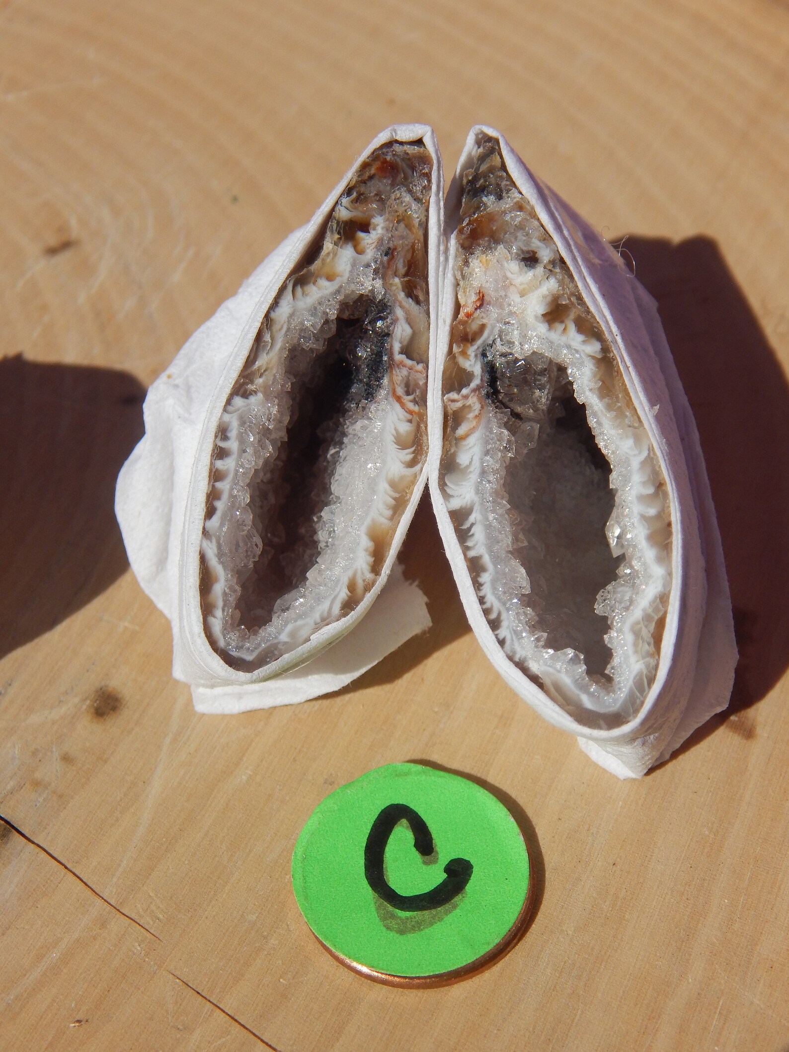 A Quality Brazilian Natural Oco Geode Pairs Oco Geode | Etsy