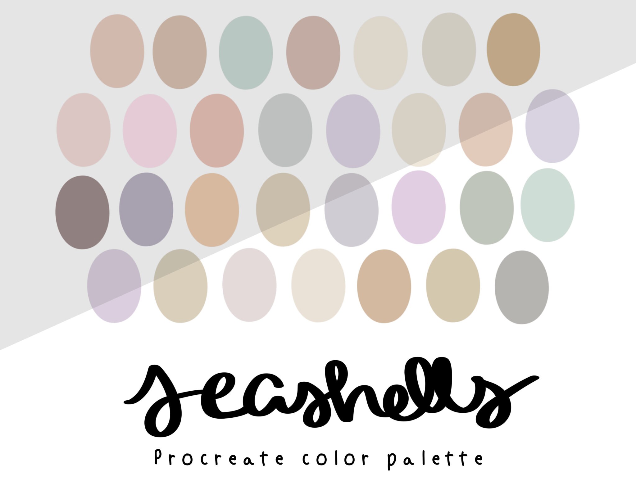 Seashells Procreate Color Palette - Etsy UK
