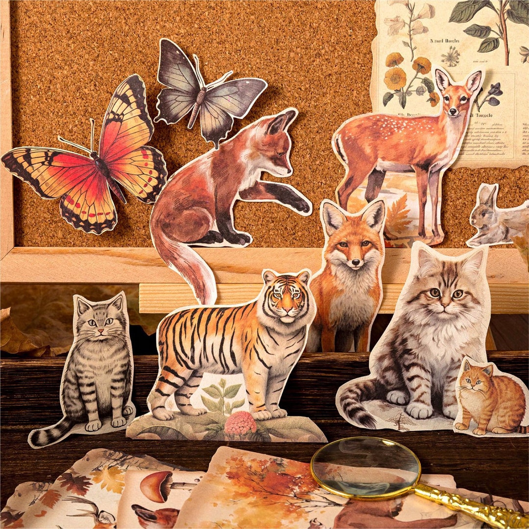 6 Types Candy Poetry Animism Collage Kit project material, art clip ...