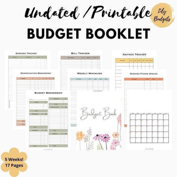 Undated / Reusable Budget Book printable Budget by - Etsy