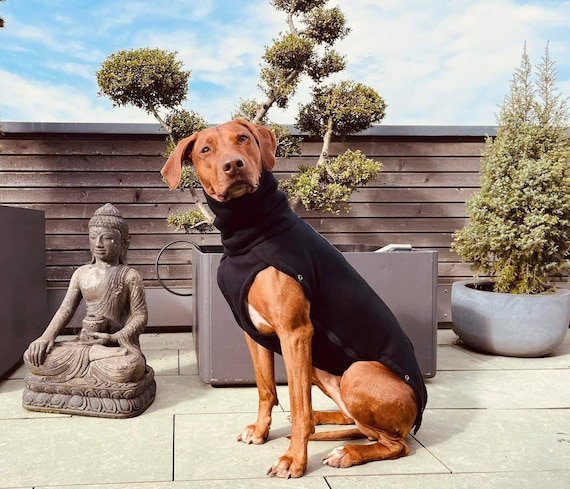Warm Dog Coat Rhodesian Ridgeback Jumper Black Sheep Wool, 44% OFF