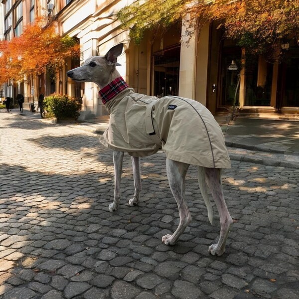 Greyhound Coats - Etsy UK