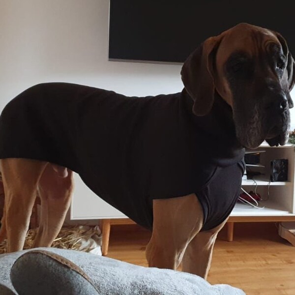 Great Dane Coat - Etsy