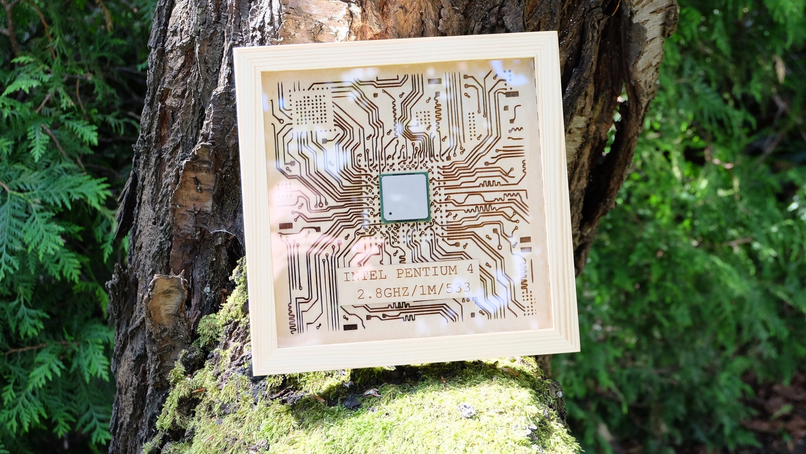 INTEL PENTIUM 4 2.8GHZ/1M/533 in Shadow Box Frame - Exclusive ...