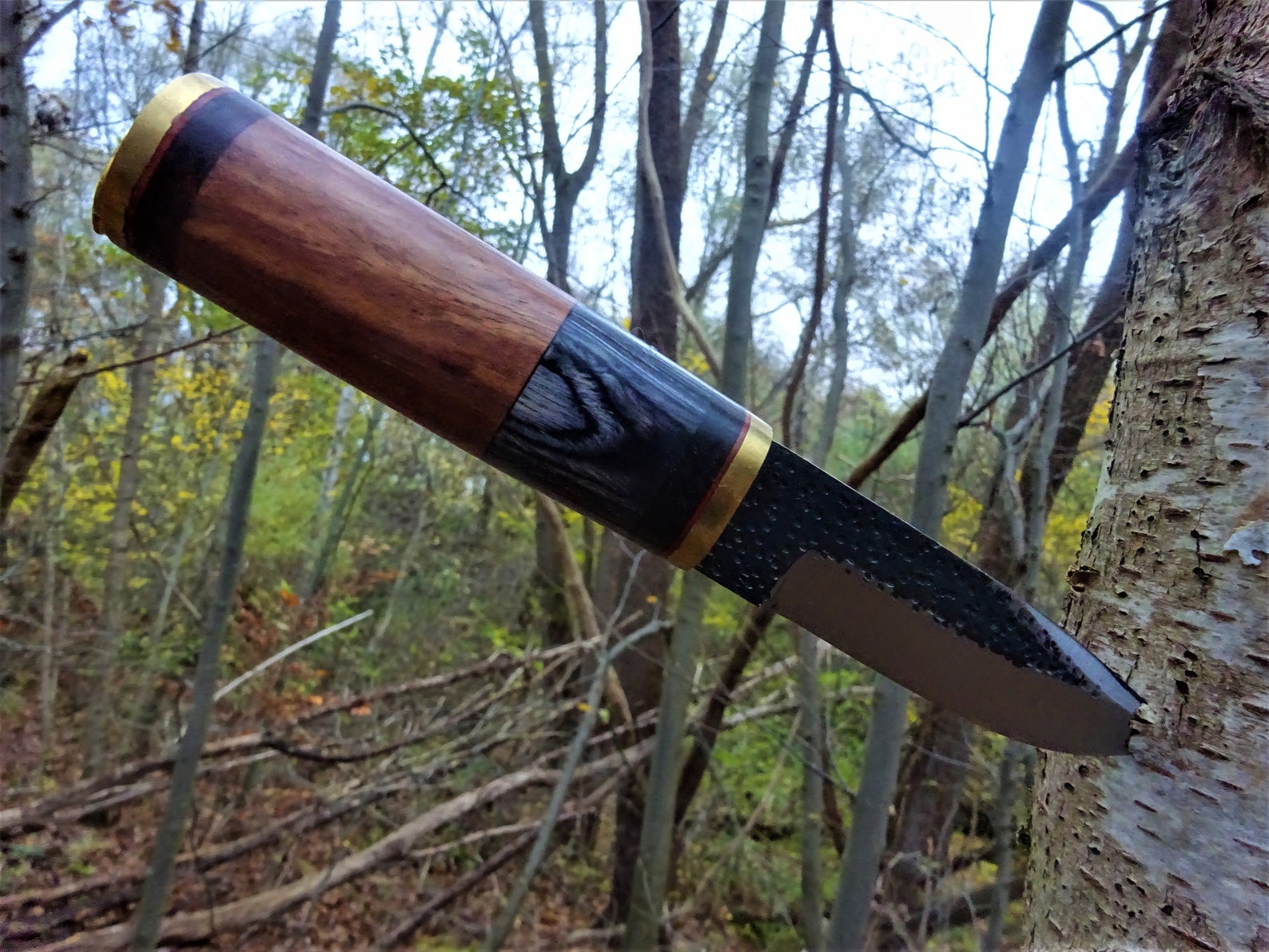 Wikinger Messer mit scharfer Klinge und mehrfarbigem Griff -23cm- mit ...