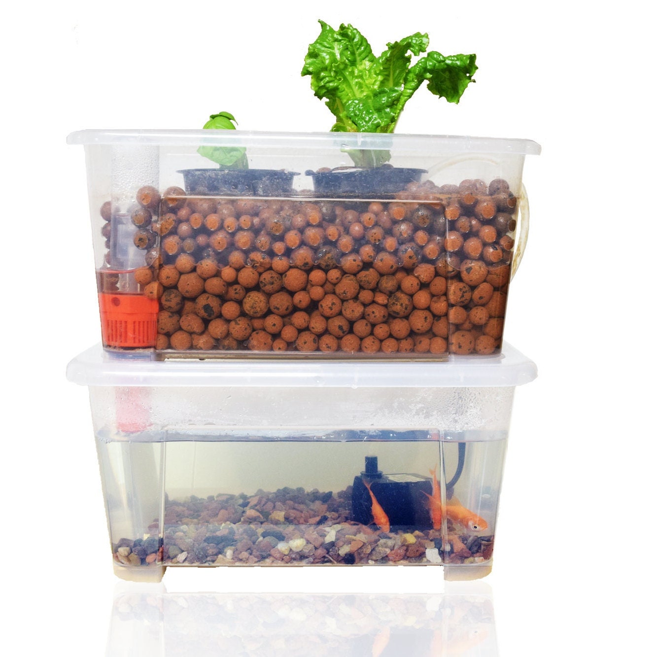 Justponics Mini Bell Siphon V3 (set of 2) - Etsy