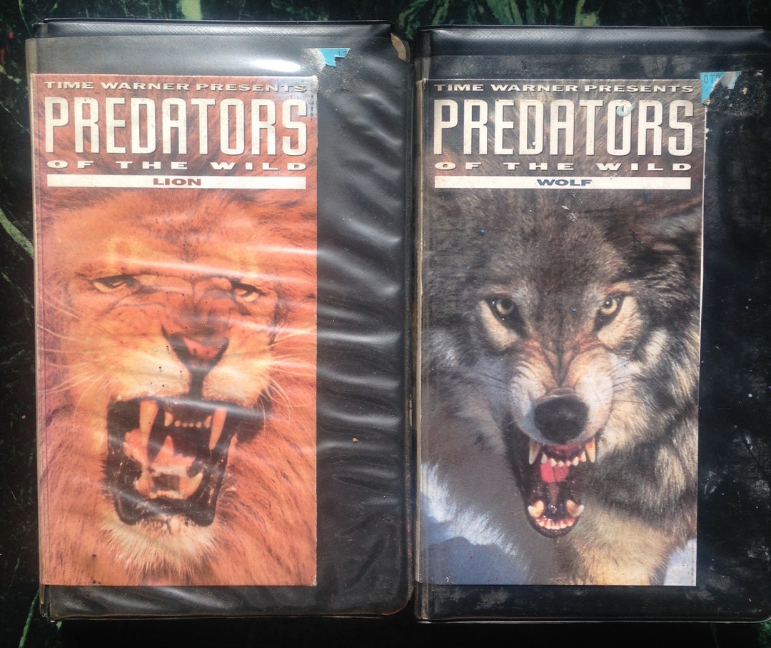 Predators of the Wild 2 VHS Lot Wolf Lion - Etsy