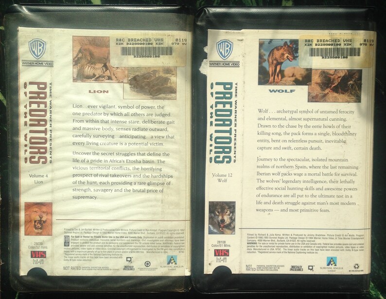 Predators of the Wild 2 VHS Lot Wolf Lion - Etsy