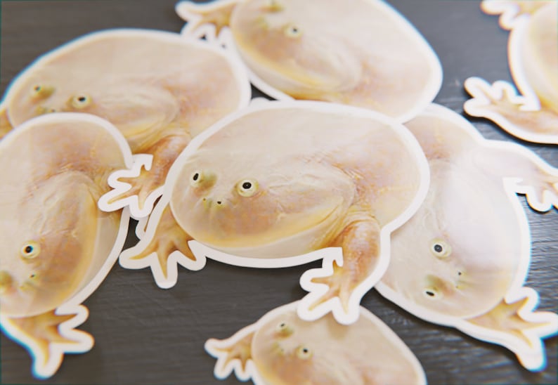 Wednesday Frog It es Wednesday My Dudes Sticker - Etsy.de