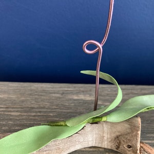 Pink Flamingo Wire Art Sculpture on Driftwood - Etsy