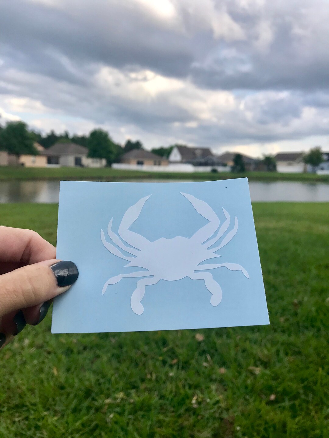 Crab Decal, Crab, Eco Friend, Sea Creature, Tropical Decal, Nautical ...