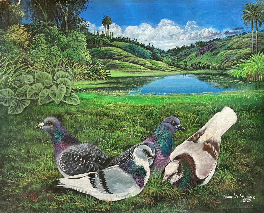 Haiti Bird Realistic Folk Art Pigeon Painting 19 3/4" X 15 3/4" Larimer ...