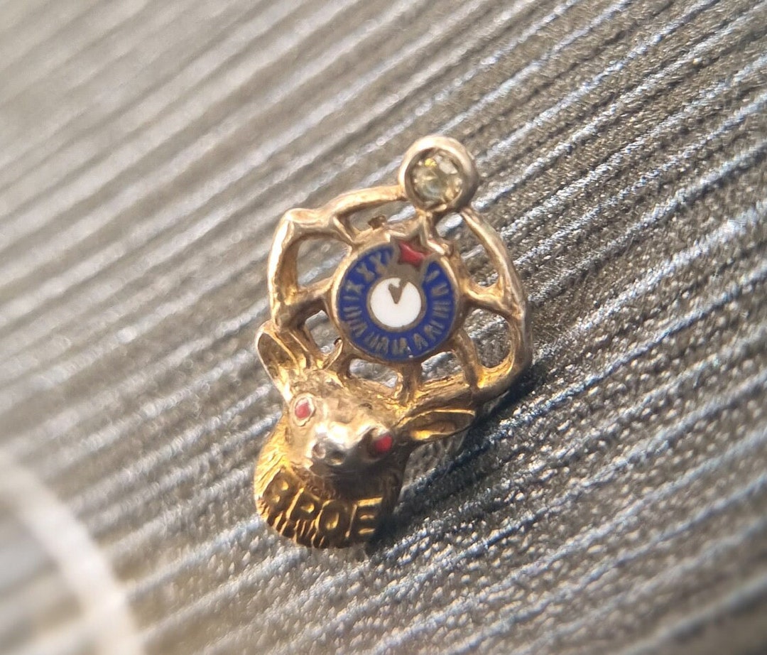 Vintage BPOE Elks Lodge Lapel Pin or Tie Tack With Stone Golden ...