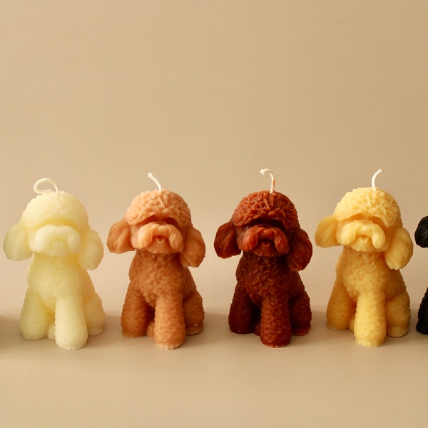 Poodle Gifts - 60+ Gift Ideas for 2025