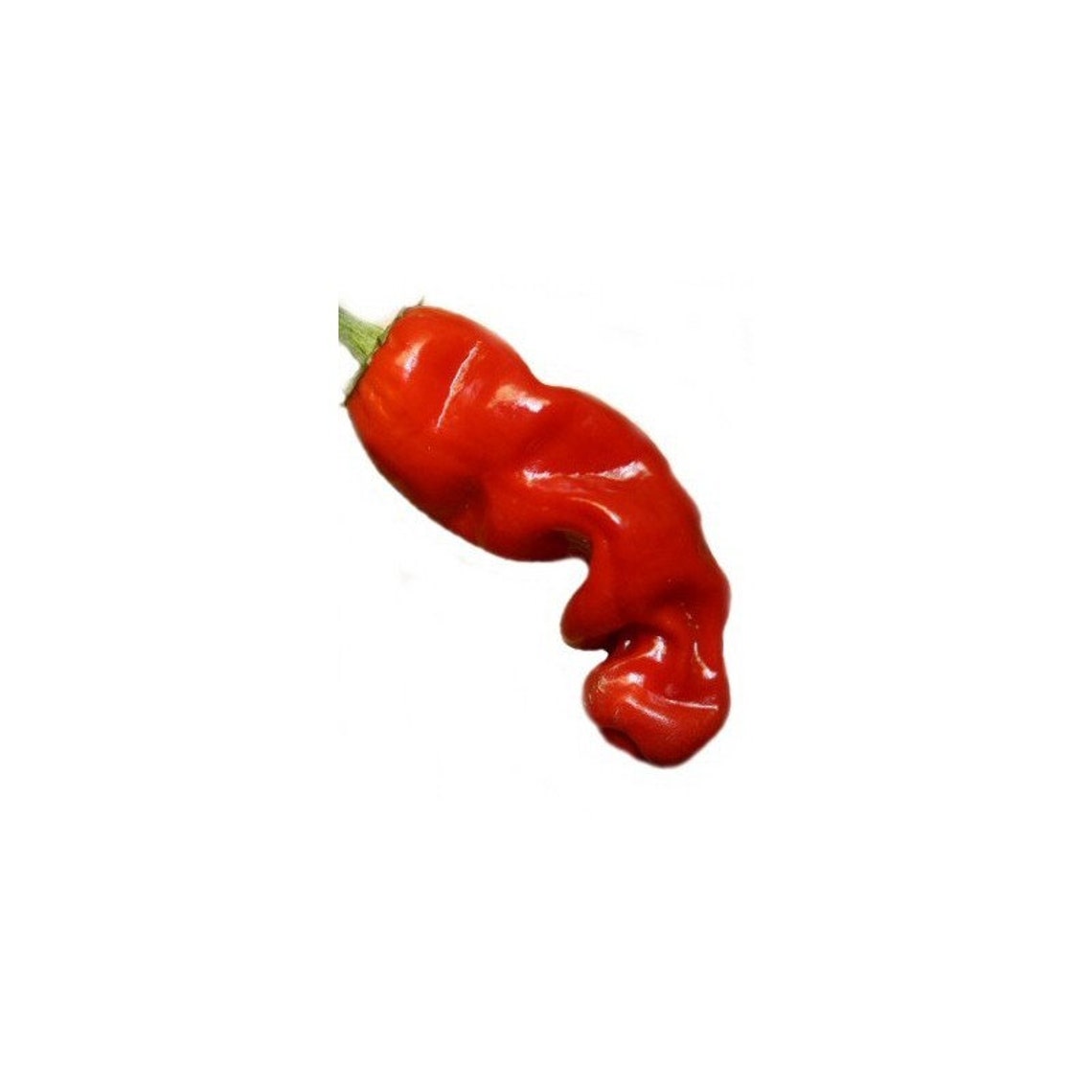 Pepper Hot - Peter Red - Etsy