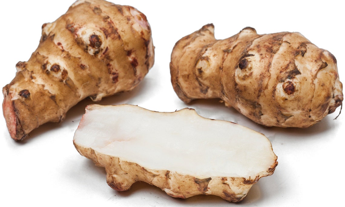 Jerusalem Artichoke Sunroot Sunchoke Non-gmo Naturally - Etsy