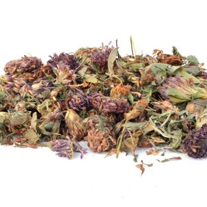 Red Clover Dry Flowers-blossoms trifolium Pratense L. Medicinal Herb ...