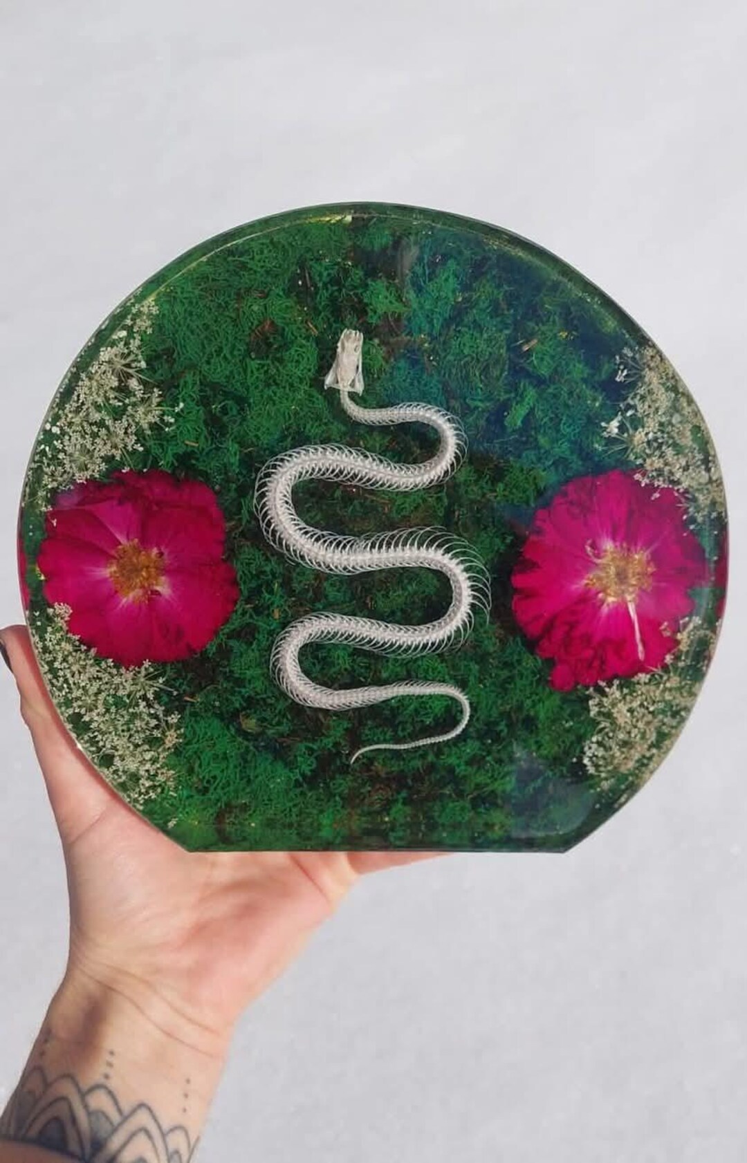 Freestanding Real Snake Skeleton Display - Freestanding Display Piece ...