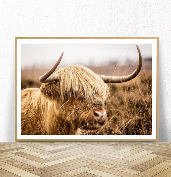 Highland cow print printable wall art digital download | Etsy