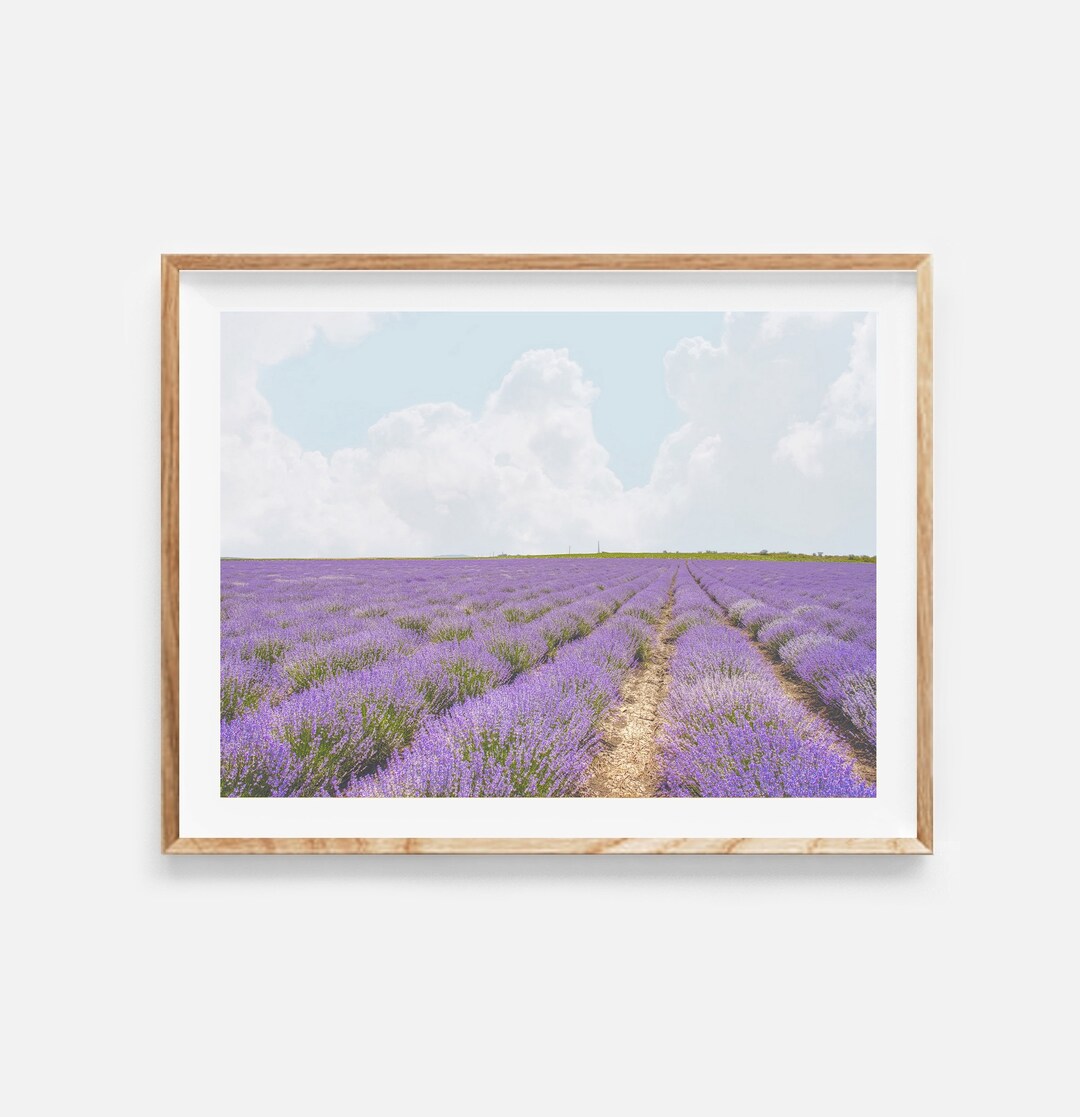 Flower Field Print, Lavender Wall Art, Landscape Photography, Digital ...