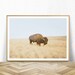 Bison Print Digital Download Buffalo Wall Art Bison - Etsy