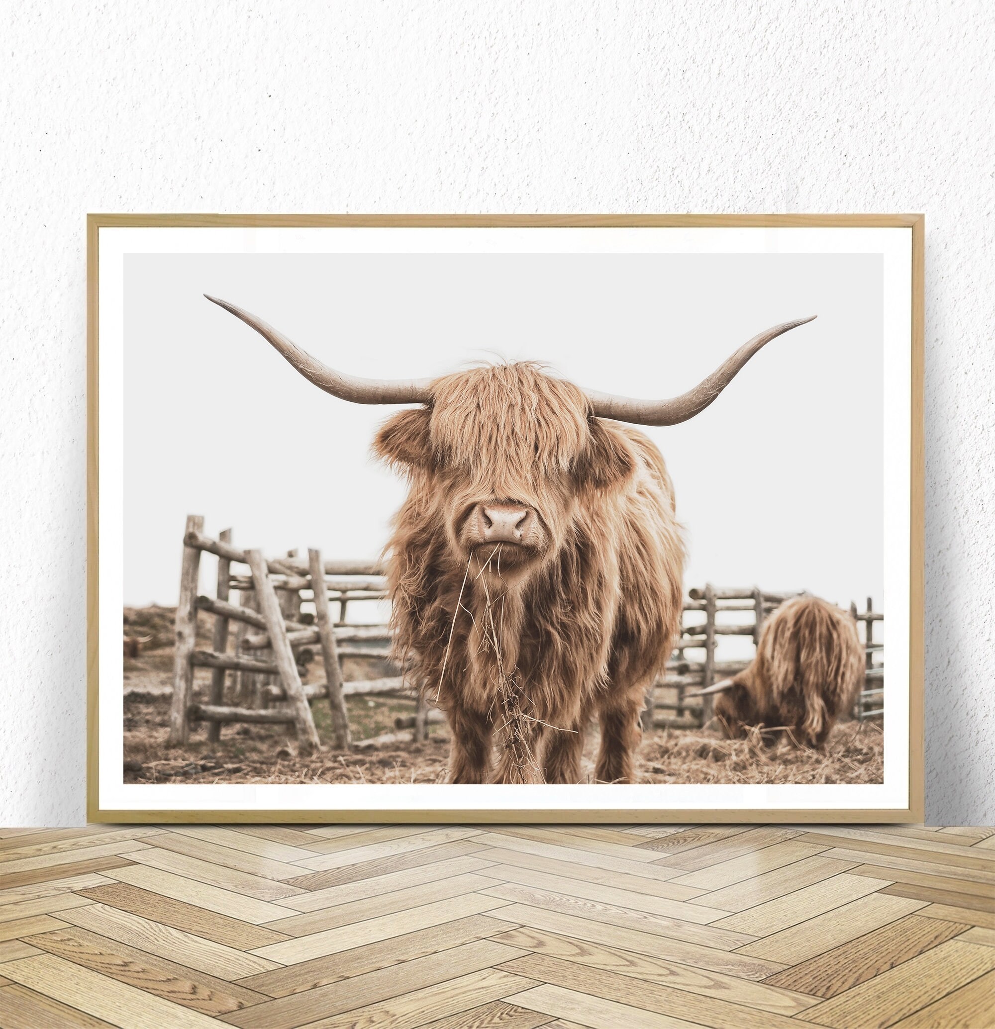 Highland Cow Print, Digital Download, Highland Cow Wall Art, Farmhouse ...
