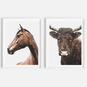 Set of 2, Horse Print, Cow Poster, Set of Prints, Printable Wall Art ...