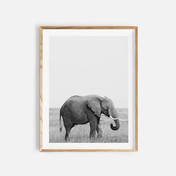 Elephant Poster - Etsy