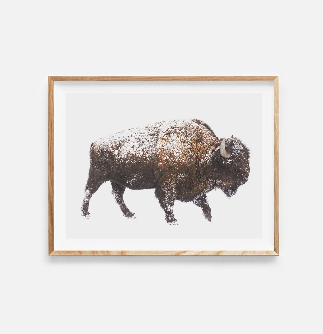 Bison Print, Buffalo Poster, Bison Wall Art, Wildlife Print, Digital ...