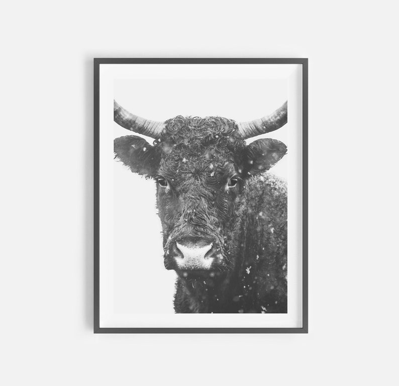 Cow Print Printable Wall Art Western Decor Black and White | Etsy